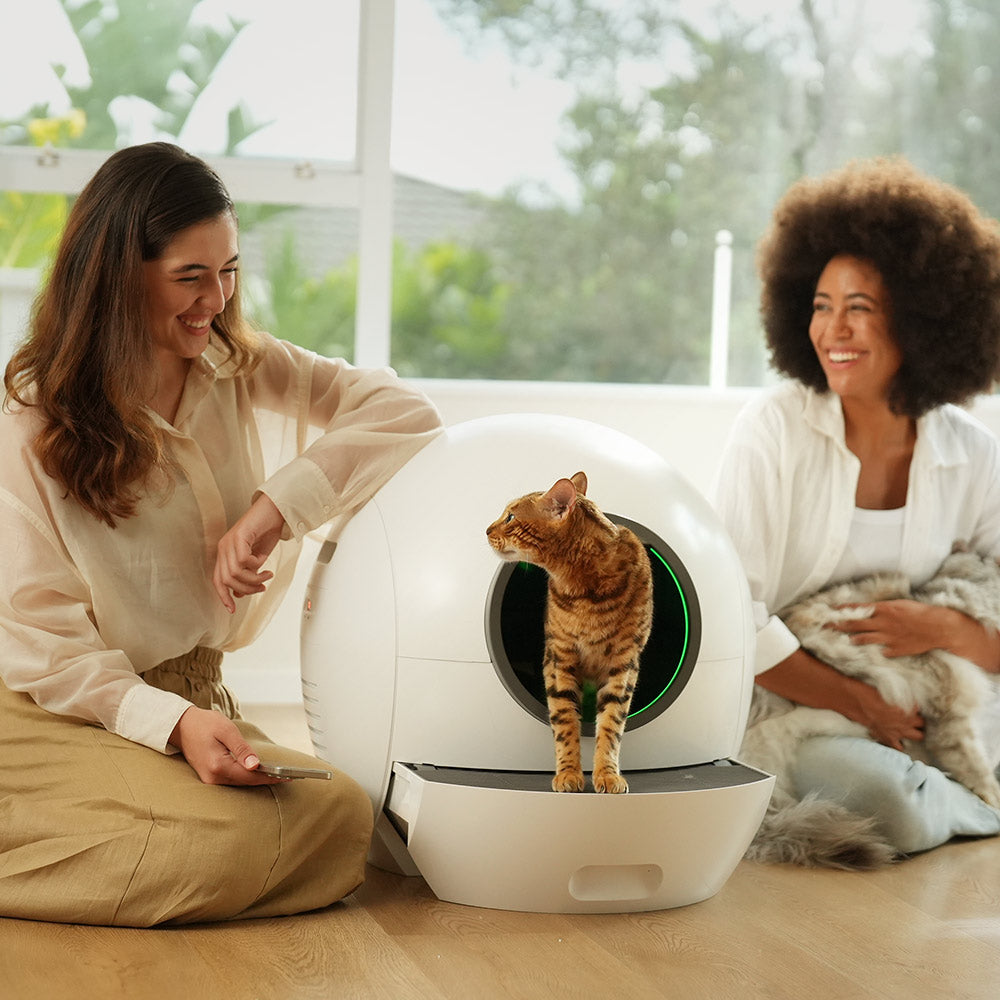 Els Pet UK Store | Self-Cleaning Litter Box for No More Scooping ...